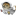 DOGZ
