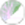 Cabbage