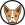 ChihuahuaSol