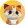 ChitCAT