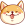 DoKEN