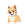 Flokidoge