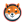 FOREVER SHIBA