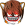Kiradoge coin