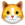 KittenFinance