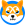 Meta Doge