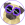 PolyPug