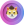 Shiba Elon