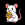 White Rat