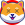 XR Shiba Inu