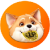 Bonkcon BONKCON logo
