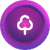 Cashtree Token CTT logo