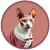 CATCEO CATCEO logo