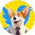 CORGI CEO CORGICEO logo