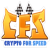 CryptoForSpeed CFS logo