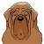 Dosa $DOSA logo