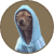 Hoodog HOODOG logo