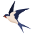 Koel Coin KOEL logo