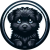MYRO 2.0 MYRO2.0 logo