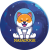 Nasa Doge NASADOGE logo