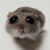 SAD HAMSTER HAMMY logo