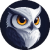 Snowy Owl SWOL logo