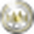 Zayedcoin ZYD logo