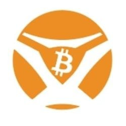 SHIB fiyat tahmini: Shiba Inu Coin 1 Dolara ulaşır mı?