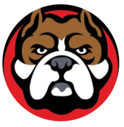 Dolandırıcılar Köpeği Kaybolanları Hedef Alarak Bitcoin Talep Ediyor