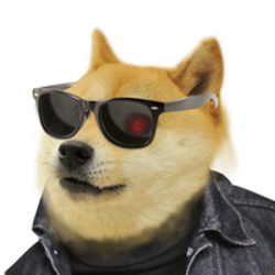 Much copy, so deceive: Dogecoin Foundation warns of “Dogecoin 2.0” crypto project