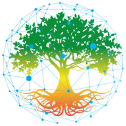 Revolutionizing Crypto Accounting: Formidium s Crypto Backoffice™ Launches in Chicago