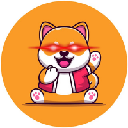 Binance Müjdeli Shiba Inu (SHIB) Haberini Verdi!