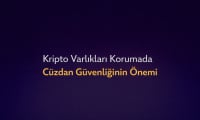 Dijital Varlık Yönetiminde Cüzdan Kullanımı Üzerine Notlar