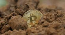 Francis Pouliot: Bir Bitcoin 2832 Dönüm Araziye Denk!