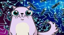 MIAU: Sucesso do Vira Lata Finance produz novo meme e criptomoeda ganha um companheiro, o Gatinho Finance