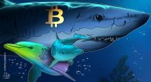 La tendencia alcista de acumulación de Bitcoin puede crear una 'doble alza' en los precios de BTC al estilo de 2013