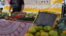 Bitcoin (BTC) Up $9,000 In Three Months, Correlates With Avocado Prices
