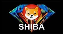 SHIBA INU Coin Nedir?