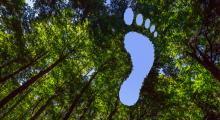 Wo Sie Moss Carbon Credit kaufen können: MCO2 verzeichnet 2-fache Rendite