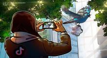 Twitter y TikTok adoptan NFT: ¿se acerca la adopción masiva?