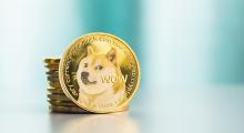 Elon Musk explica porque apoia Dogecoin e decepciona fãs da Shiba Ino