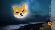 Shiba Inu Benimsenmesi Ve Kullanım Durumu Artıyor: SHIB Yeni ATH Yapabilir Mi?