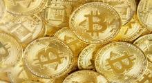 5만달러 중반대까지 밀린 비트코인 어디까지 떨어질까?...'돈나무 언니' "BTC 50만달러 간다"