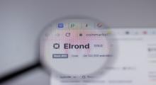 Deshalb hat Elrond trotz des Bärenmarktes ein neues Allzeithoch erreicht