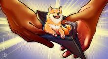 Mesmo caindo 50% criptomoeda Shiba Inu bomba entre os investidores e equipe emite alerta sobre golpes que prometem SHIB de graça