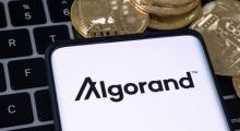 Algorand projelerine yarım milyar dolarlık fon