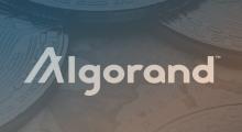 Borderless Capital’dan Algorand (ALGO)’e 500 Milyon Dolarlık Fon