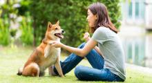 The new Dogecoin? Meet MetaDoge, which is up almost 18% today