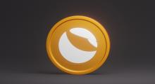 Terra Name Service, TNS token ve airdrop’u resmen açıkladı