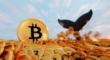 Holder de Bitcoin transforma R$ 22 mil em R$ 266 milhões após 10 anos
